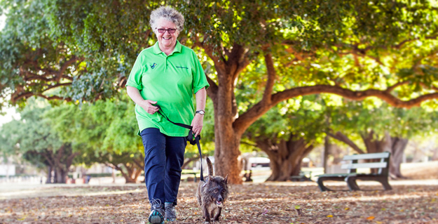 Gold Coast Dog Walking Positions Available | Spot The Dog Walker